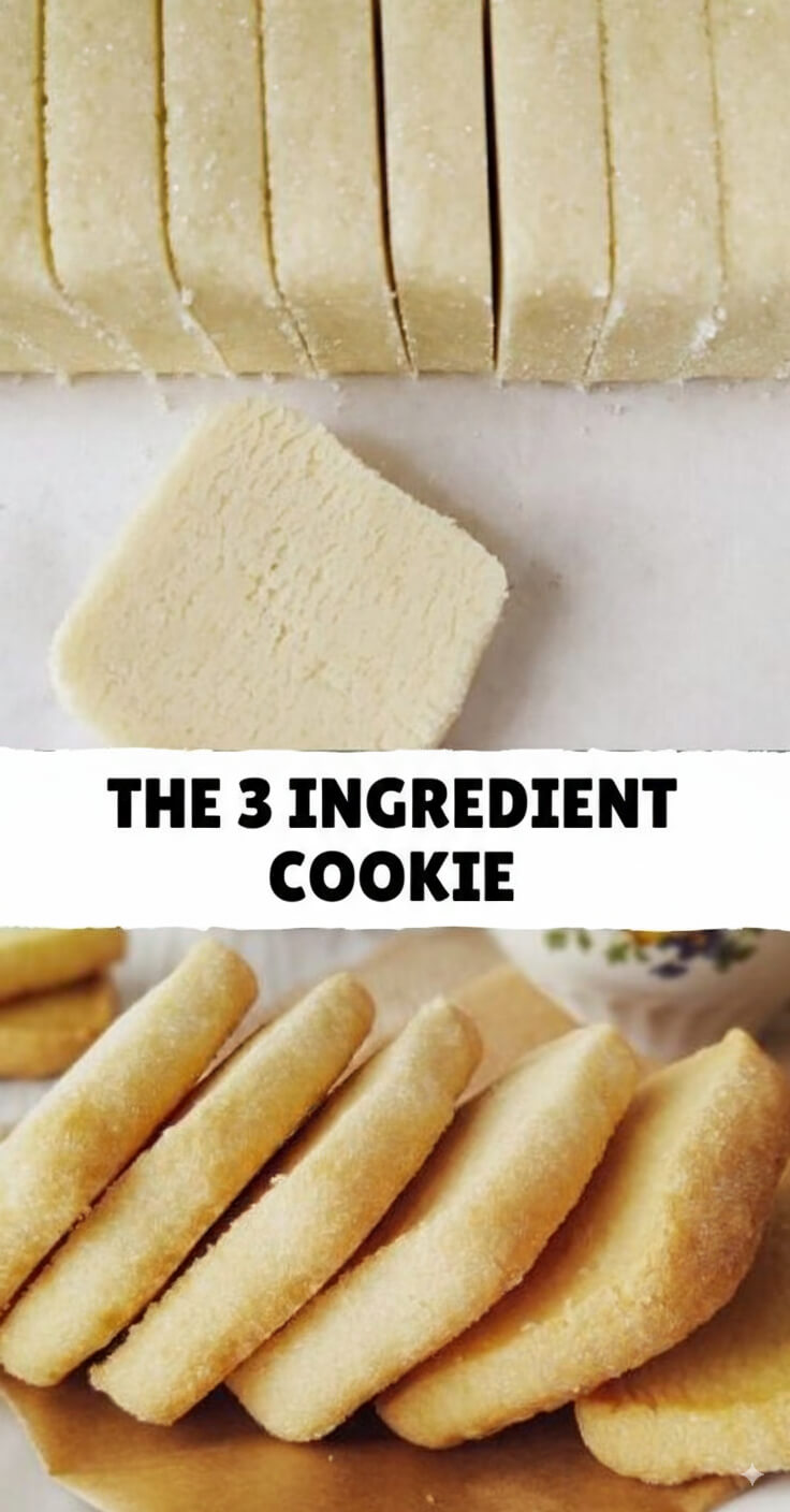 THE 3 INGREDIENT COOKIE - {100kRecipes}
